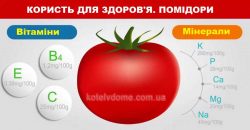 Помідори засіб для лікування людського організму